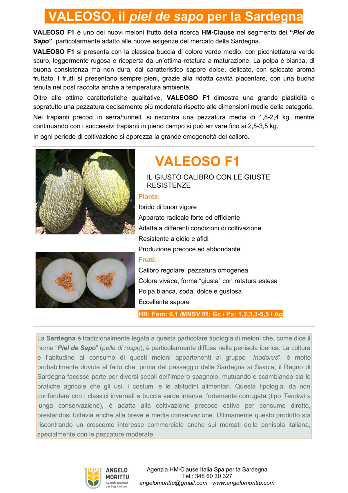 VALEOSO F1, il "piel de sapo" per la Sardegna | www.angelomorittu.com